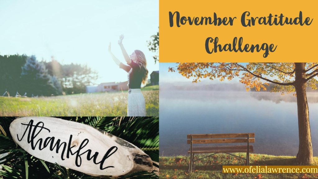 November Gratitude Challenge